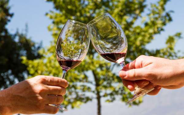 All About GSM Wine: History, Flavor, Pairings - McClain Cellars Winery