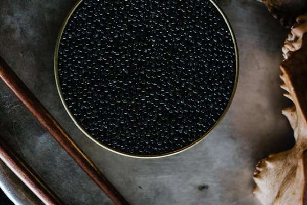 Pairing Wine with Different Caviar Plus 5 Essential Tips - McClain ...
